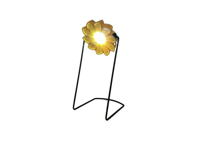 Olafur Eliasson: Your curious journey | Singapore Art Museum