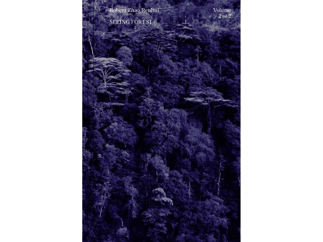 Seeing Forest | Singapore Art Museum