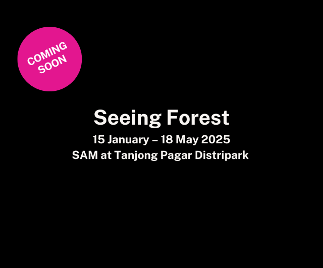 Seeing Forest | Singapore Art Museum