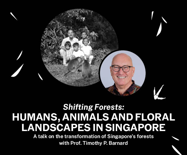 Shifting Forests: Humans, Animals and Floral Landscapes in Singapore | Singapore Art Museum
