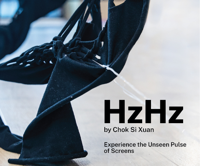 HzHz | Singapore Art Museum