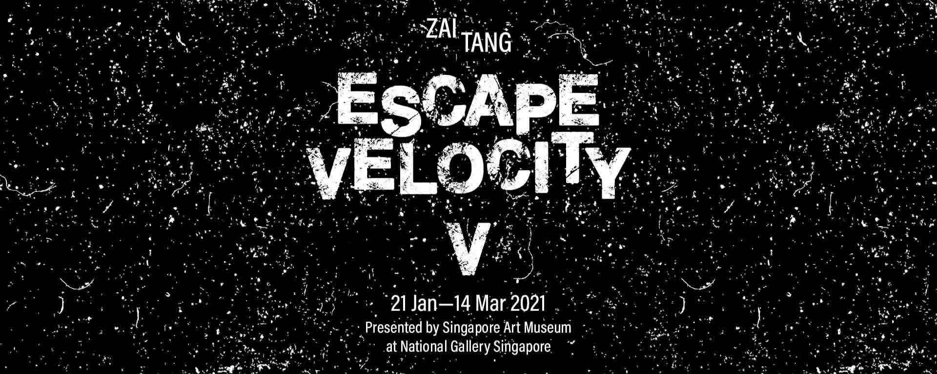 Escape Velocity V | Singapore Art Museum